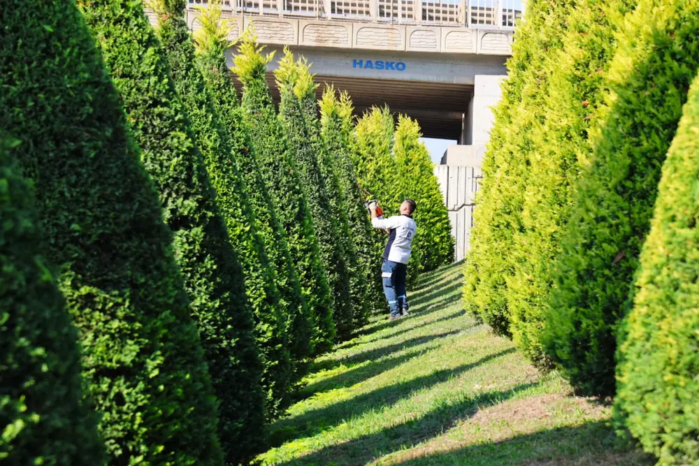Kocaeli'de Kavşak ve Yol Kenarlarında Yeşil Alan Bakımı | Ufuk Gazetesi